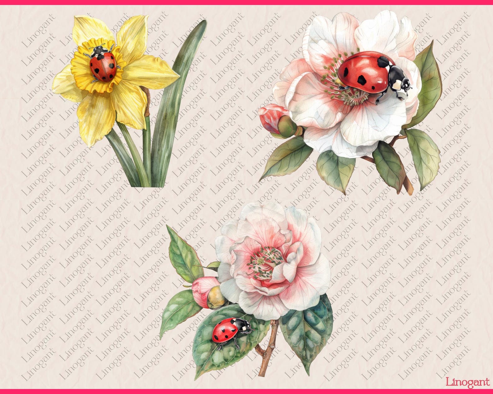 Watercolor Ladybug & Flower Clipart Bundle, Cute Lady Bug on Floral ...