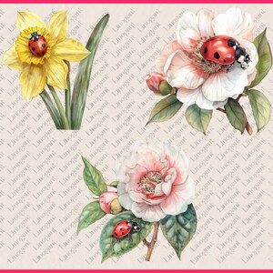 Watercolor Ladybug & Flower Clipart Bundle, Cute Lady Bug on Floral ...