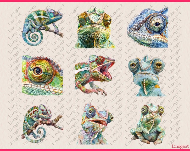Watercolor Chameleon Clipart Bundle, Chamelon Clip Art Set, Wild Animal ...