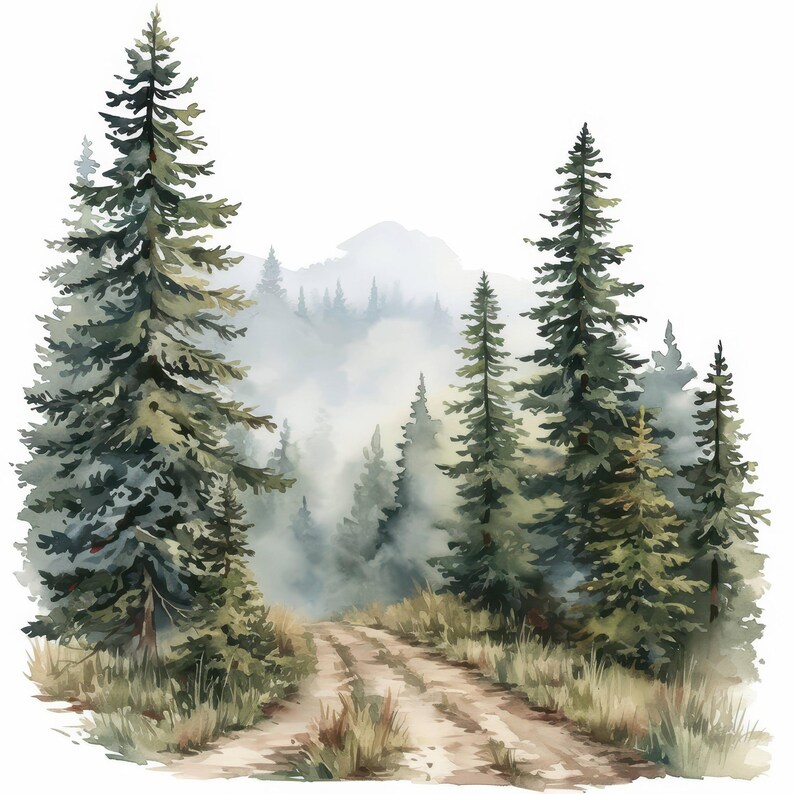 12 Forest Trail Clipart Bundle, Peaceful Nature Path Illustration ...