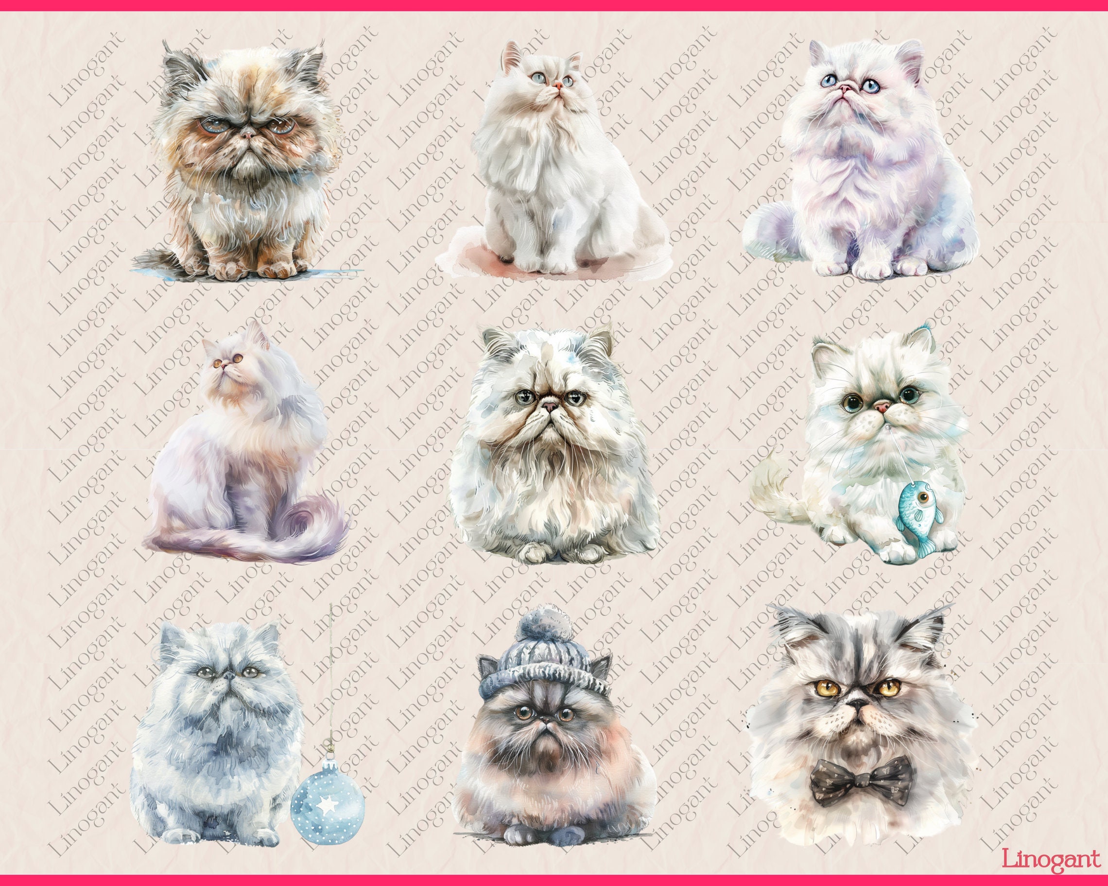 Watercolor Persian Cat Clipart Bundle, Cat Breed Clip Art Set, Animal ...