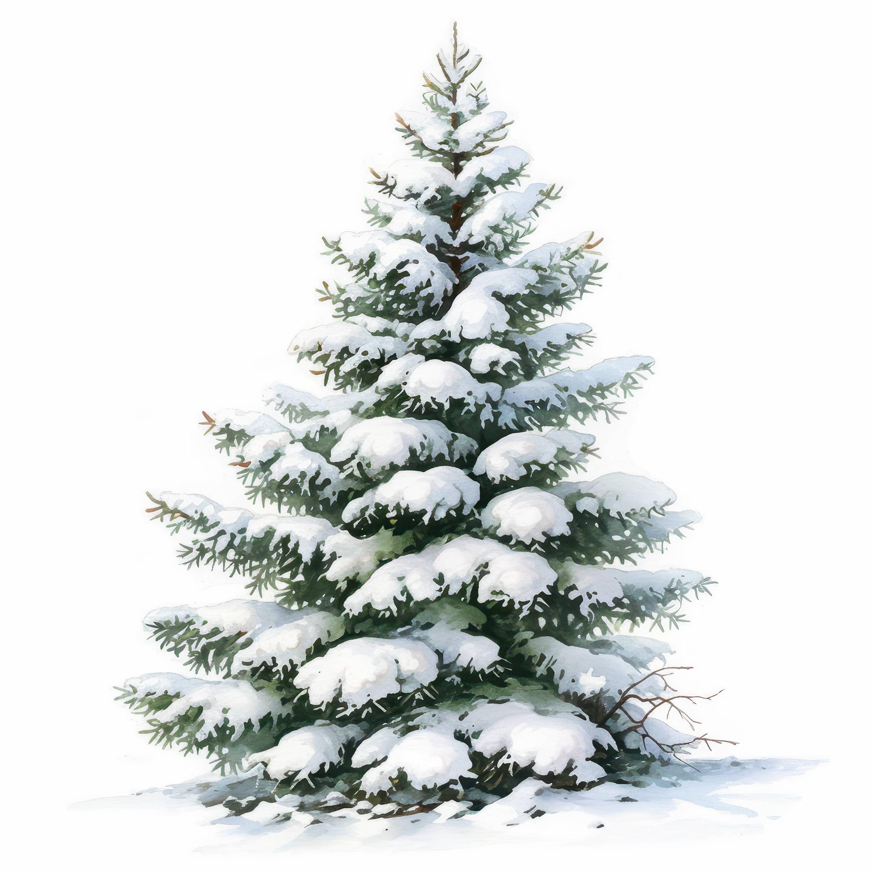 17 Watercolor Christmas Tree Clipart Bundle, Festive Pine Illustration ...