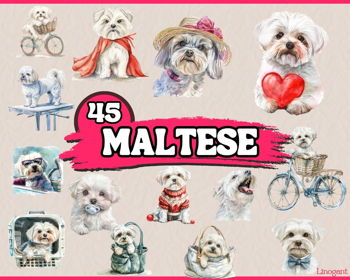 Watercolor Maltese Clipart Bundle, Malta Dog Breed Clip Art Set, Animal ...
