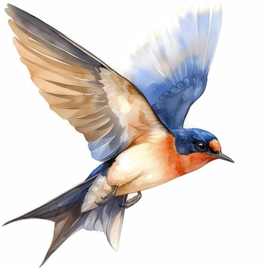 11 Swallow Flight Clipart Bundle, Elegant Bird in Motion Illustration ...
