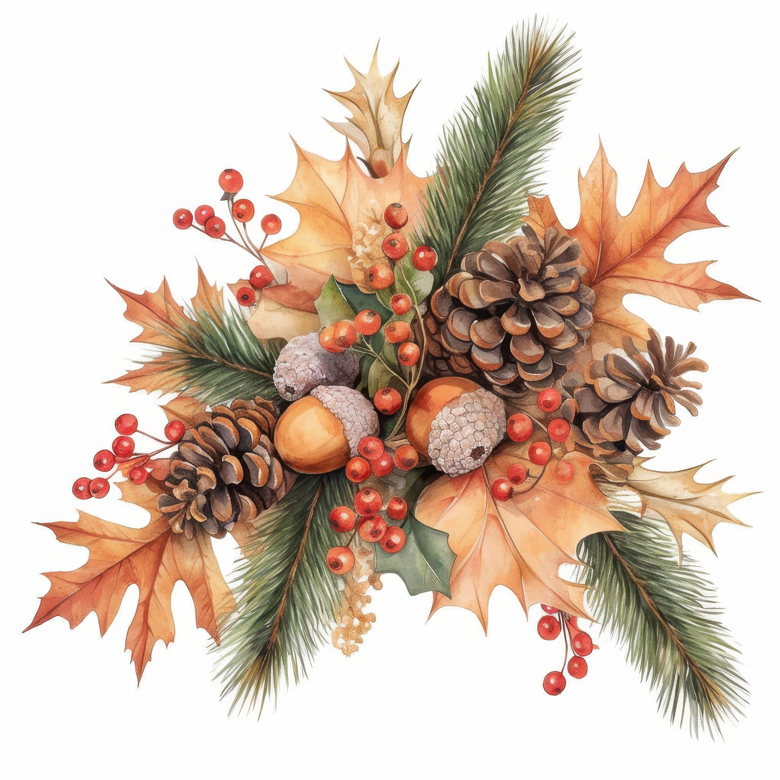 16 Autumn Leaves With Acorns and Pinecones Clipart Illustration ...