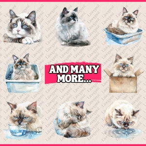 74 Ragdoll Cat Clipart | Cat Sublimation Bundle | Printable Watercolor ...