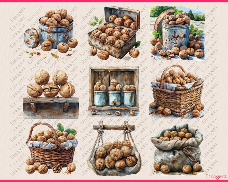 Watercolor Walnut Clipart Bundle, Walnut Nuts Clip Art Set, Box, Sack, Bowl of Walnuts, Digital ...