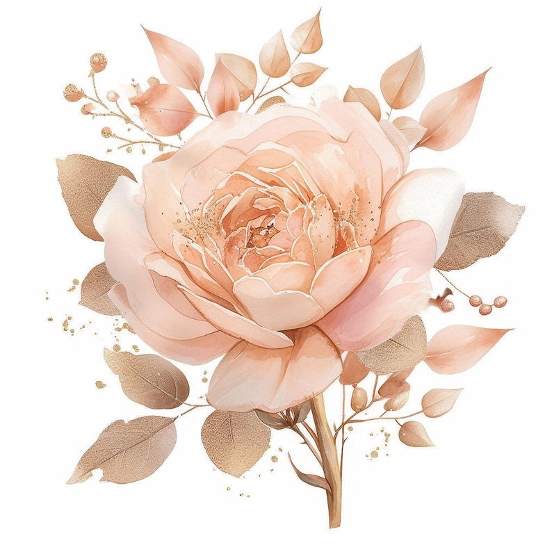 10 Blush Rose Abstract Watercolor Clipart, Minimal Botanical ...