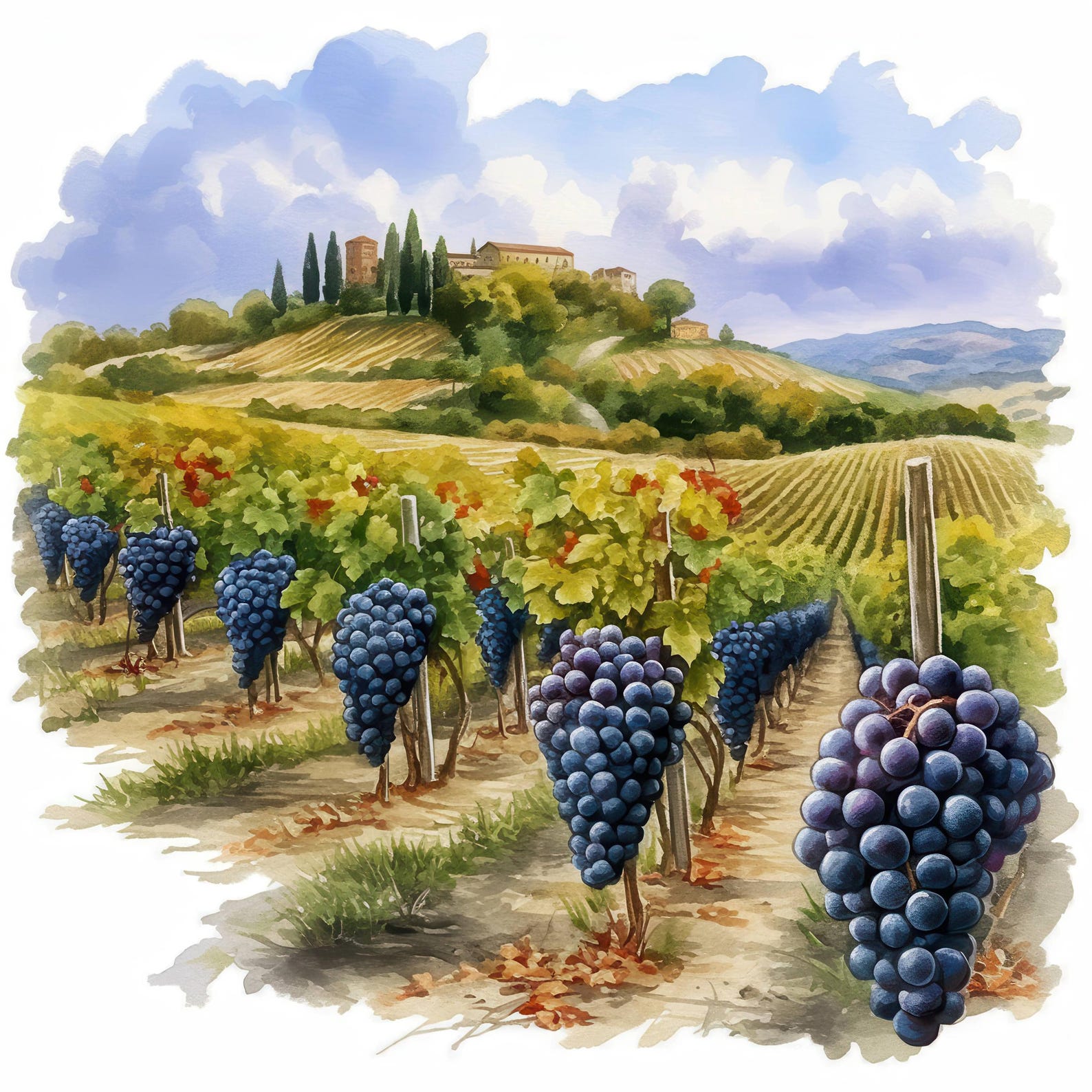 22 Vineyard Hillside Clipart Bundle, Scenic Winery Illustration ...