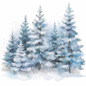 16 Winter Pine Tree Clipart Bundle, Snowy Pine Art Illustration ...