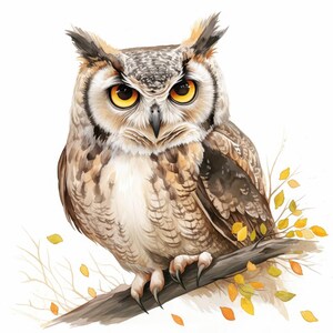 11 Wise Owl Clipart Bundle, Intellectual Bird Illustration, Printable ...