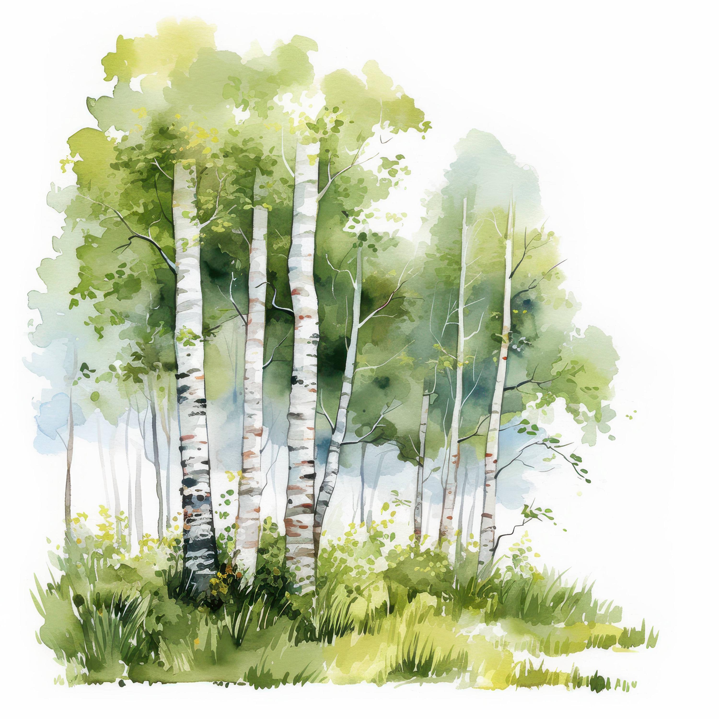 18 Spring Forest Clipart Bundle, Seasonal Woodland Nature Illustration ...
