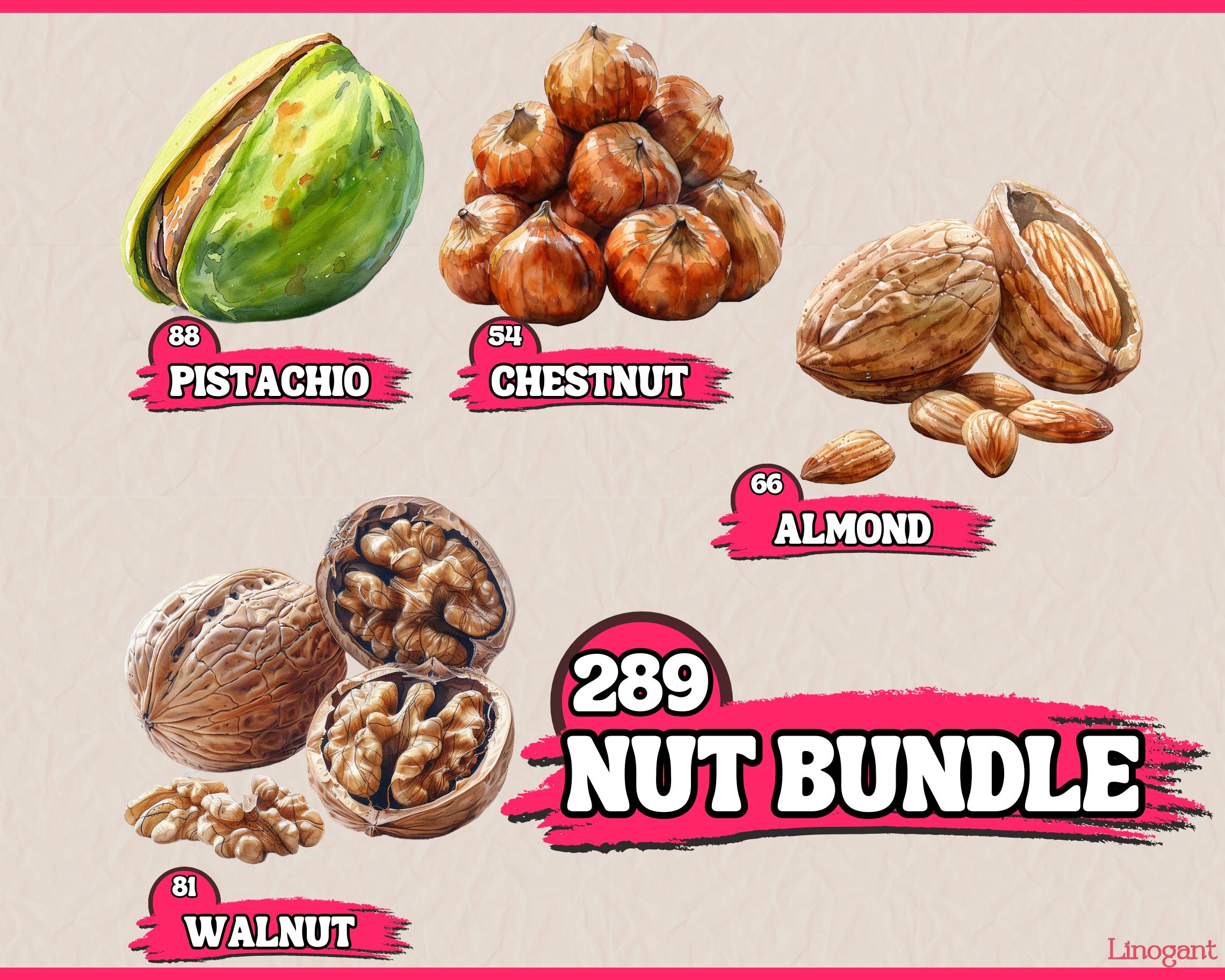 Watercolor Ultimate Nut Clipart Bundle, 289 Pngs Featuring Pistachio ...