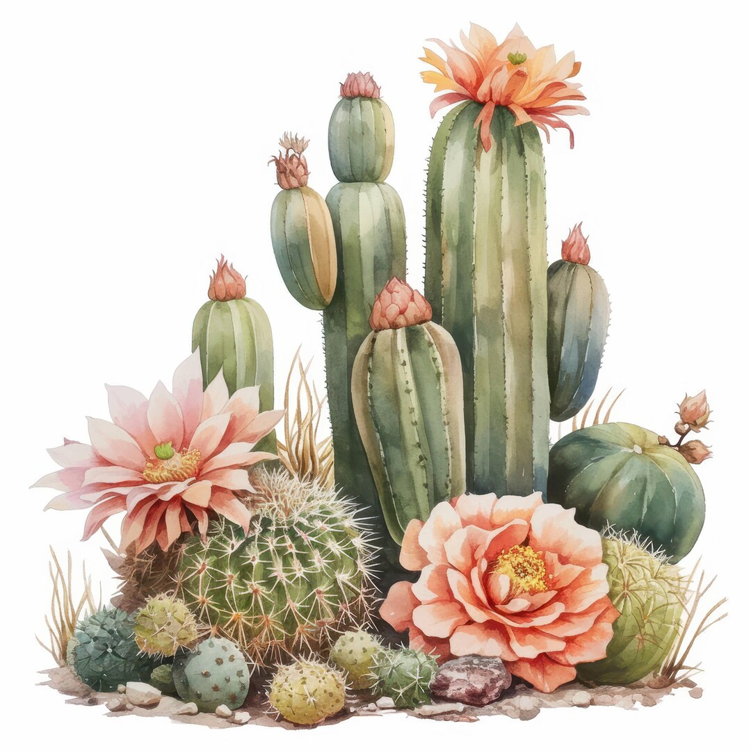 14 Desert Cactus Clipart Bundle, Blooming Flowers Illustration ...