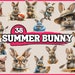 Watercolor Summer Bunny Clipart Bundle, Bunny Clip Art Set, Baby Rabbit ...