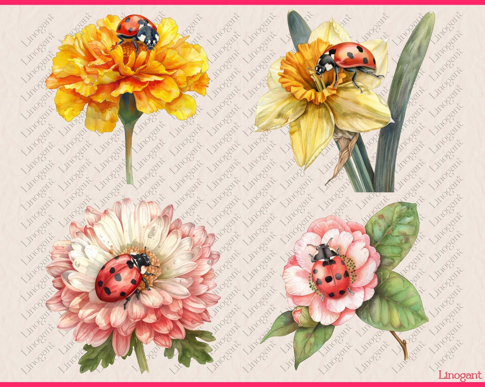 Watercolor Ladybug & Flower Clipart Bundle, Cute Lady Bug on Floral ...