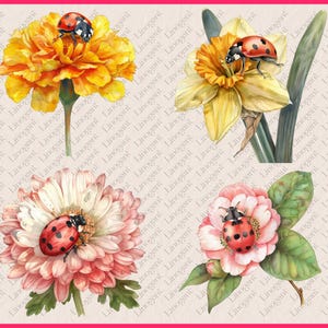Watercolor Ladybug & Flower Clipart Bundle, Cute Lady Bug on Floral ...