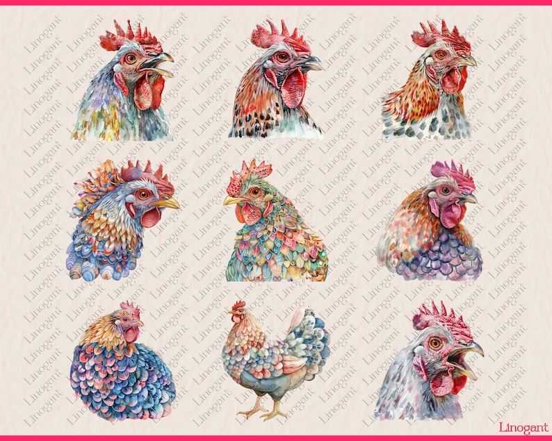 Watercolor Chicken Clipart Bundle, Bird Species Clip Art Set, Farm ...