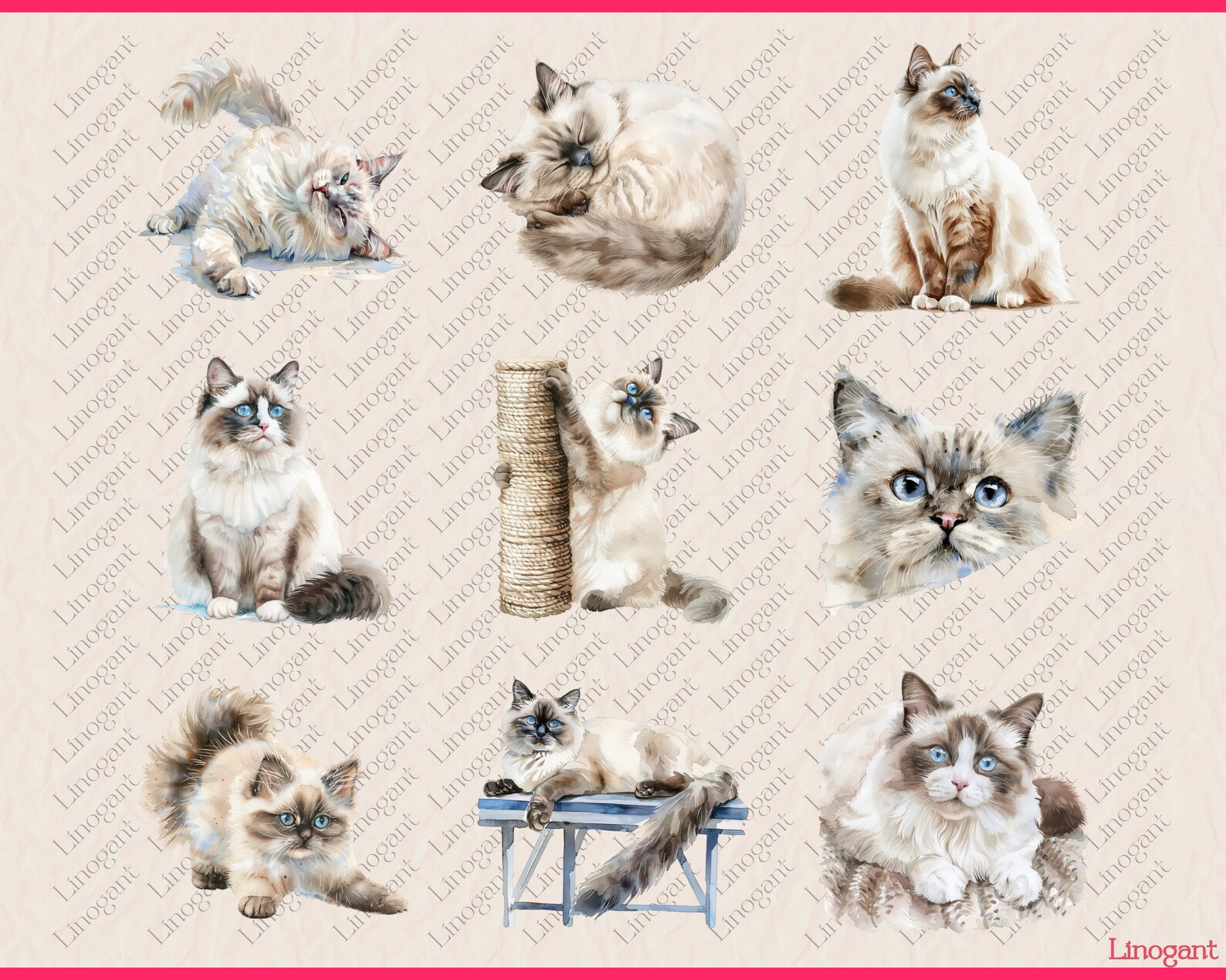 74 Ragdoll Cat Clipart | Cat Sublimation Bundle | Printable Watercolor ...