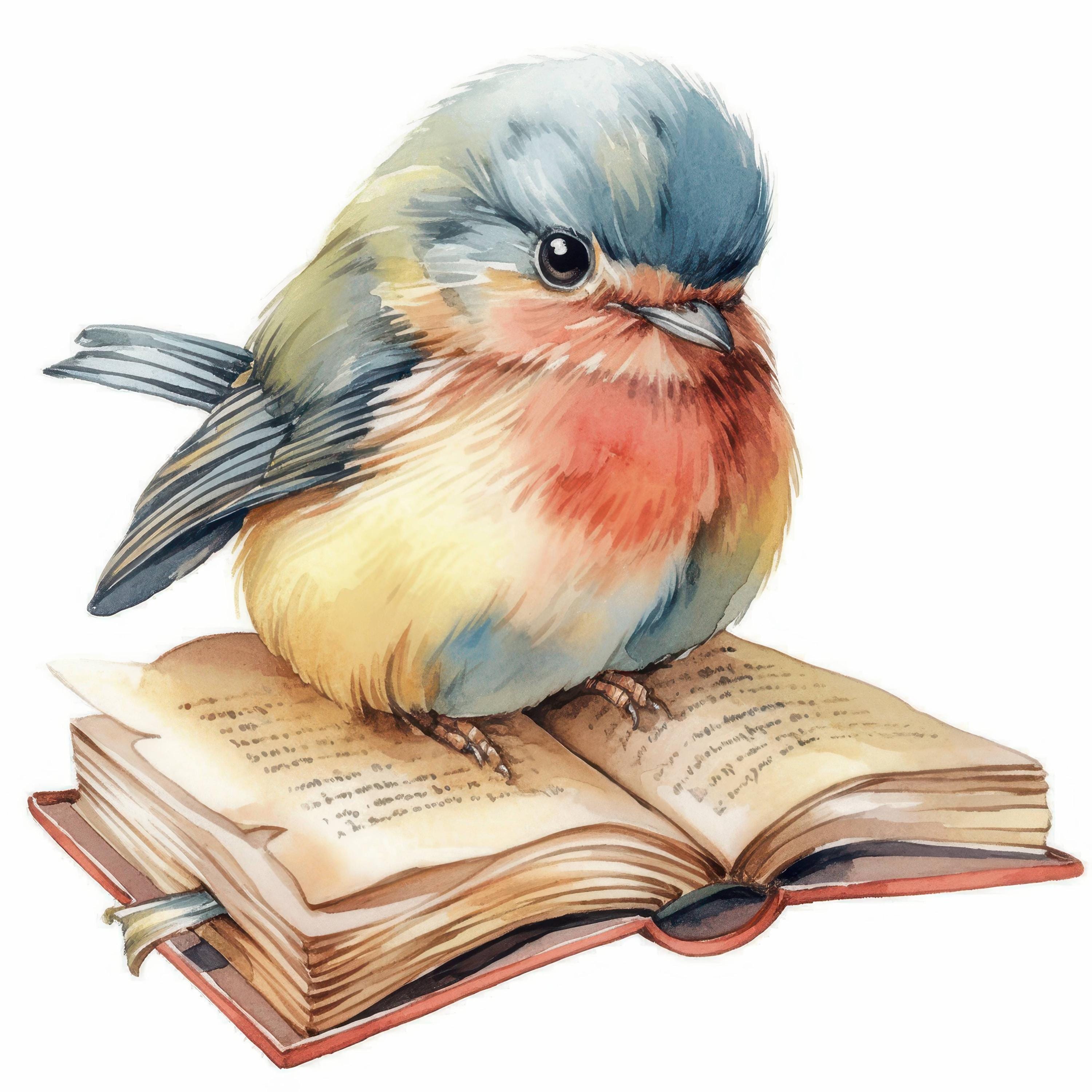11 Bird Reading Book Clipart Bundle, Whimsical Storytime Illustration ...