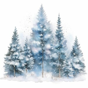 16 Winter Pine Tree Clipart Bundle, Snowy Pine Art Illustration ...
