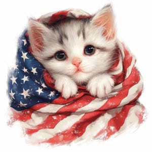 12 Patriotic Cat Clipart, 4th of July Clipart, USA Clipart, Printable ...