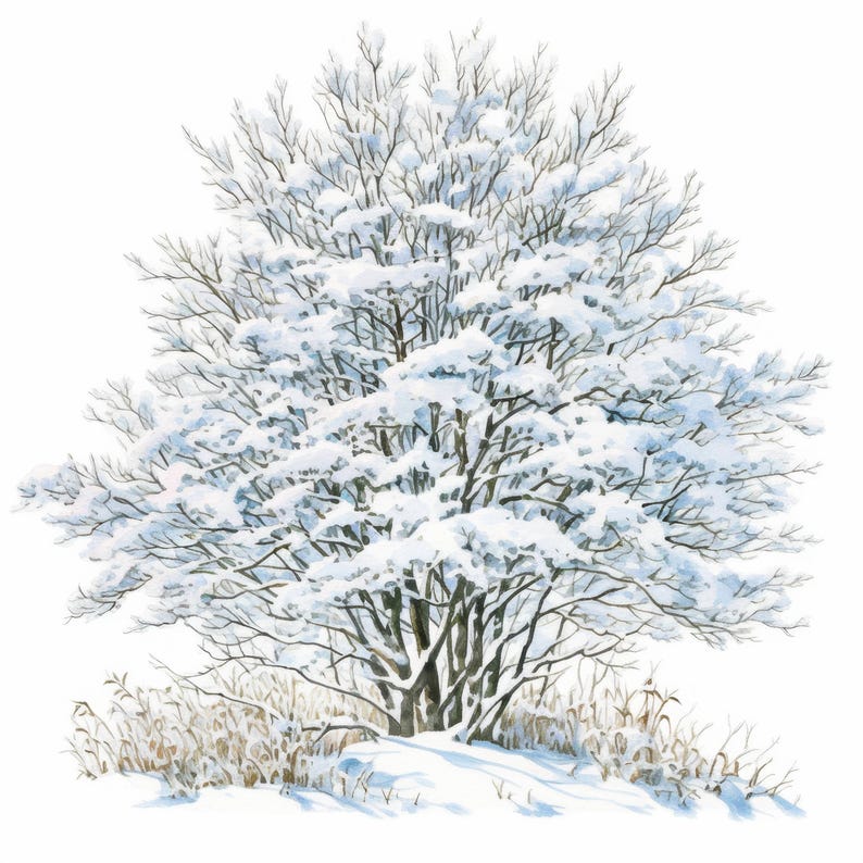 13 Cozy Winter Tree Clipart Bundle, Snow Covered Tree Illustration ...