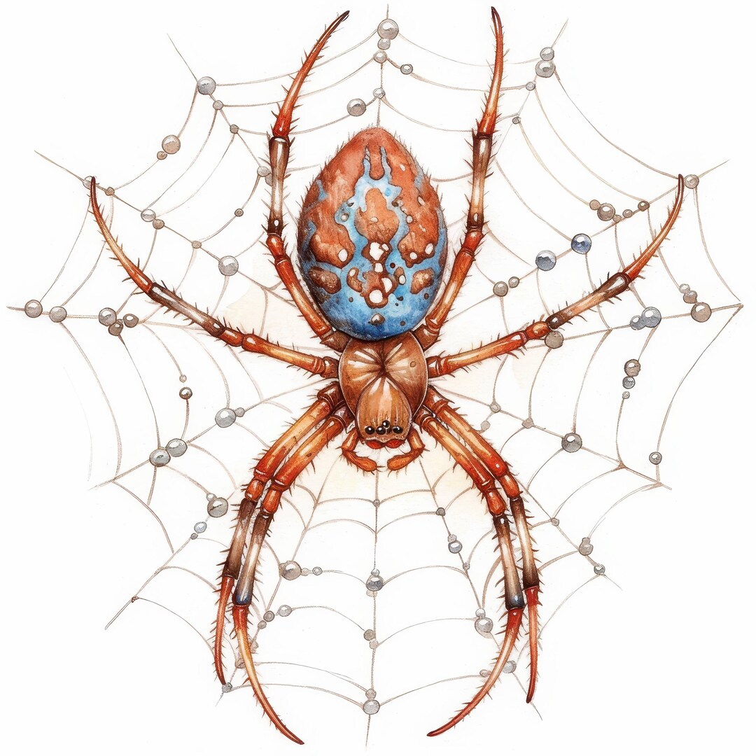 13 Spider Web Clipart Bundle, Intricate Halloween Arachnid Illustration ...
