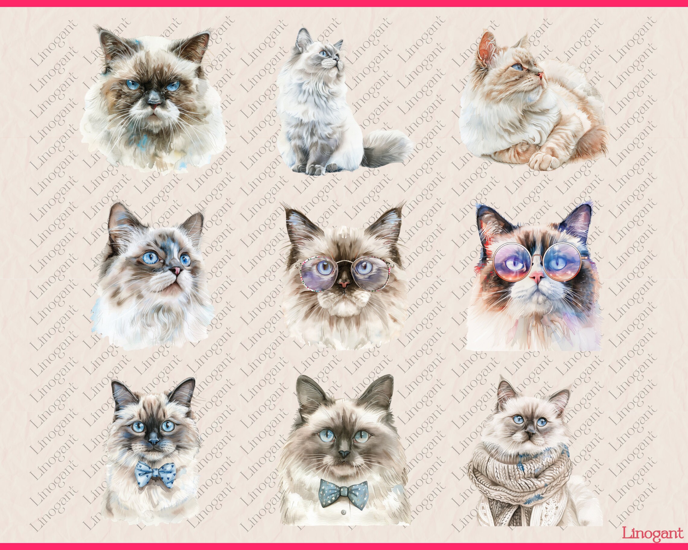 74 Ragdoll Cat Clipart | Cat Sublimation Bundle | Printable Watercolor ...