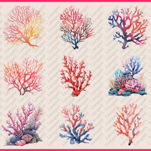 Watercolor Coral and Seashells Clipart Bundle, Under Sea With Coral ...