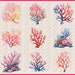 Watercolor Coral and Seashells Clipart Bundle, Under Sea With Coral ...