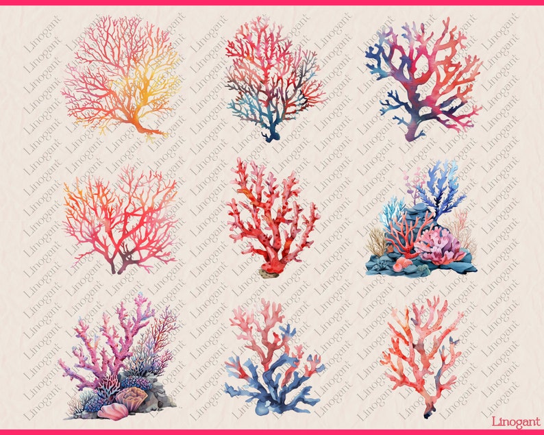 Watercolor Coral and Seashells Clipart Bundle, Under Sea With Coral ...