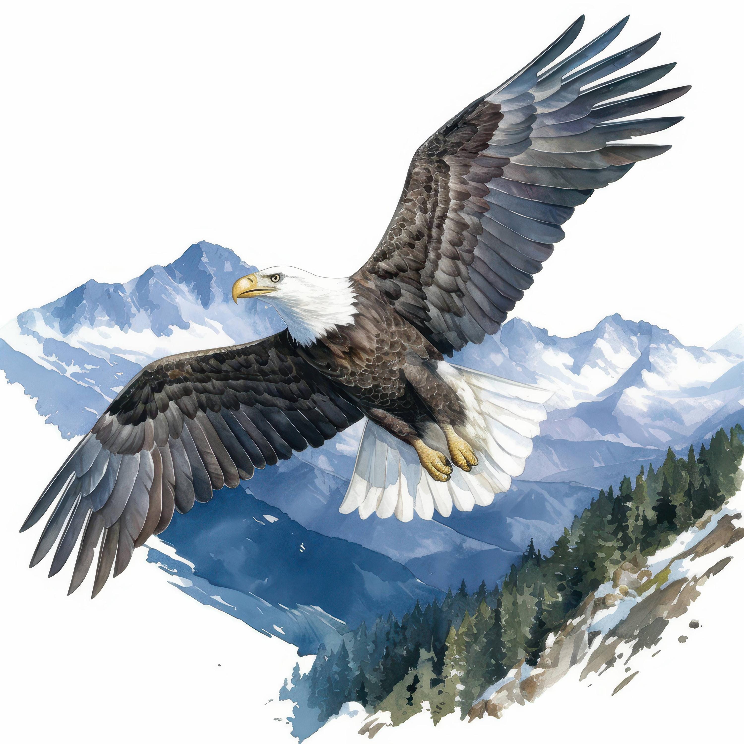 10 Eagle Clipart Bundle, Wild Bird Illustration, Printable Watercolor ...
