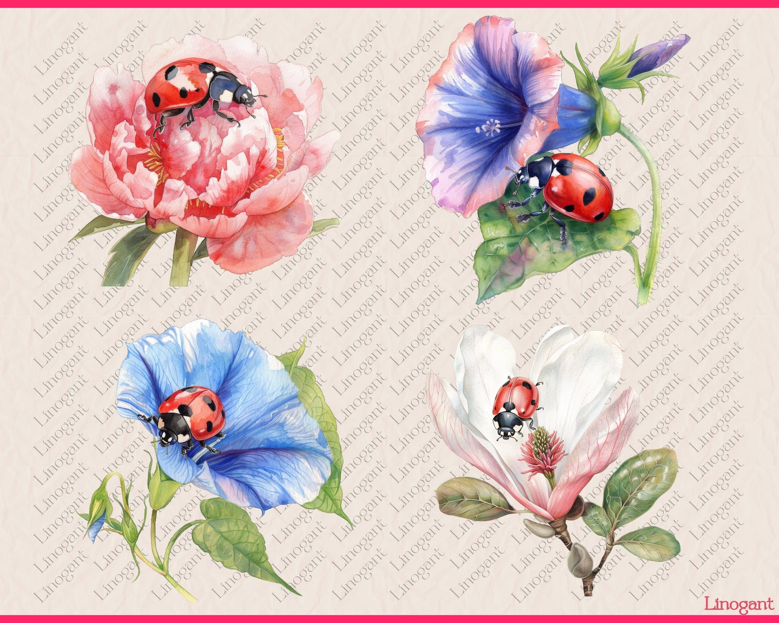 Watercolor Ladybug & Flower Clipart Bundle, Cute Lady Bug on Floral ...