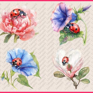 Watercolor Ladybug & Flower Clipart Bundle, Cute Lady Bug on Floral ...