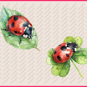 Watercolor Ladybug and Leaf Clipart Bundle, Red Lady Bug on Tree Leaves ...