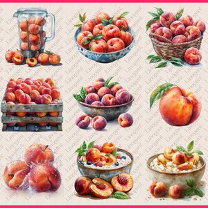 Watercolor Peach Clipart Bundle, Fruits Clip Art Set, Peach Cheese Cake ...