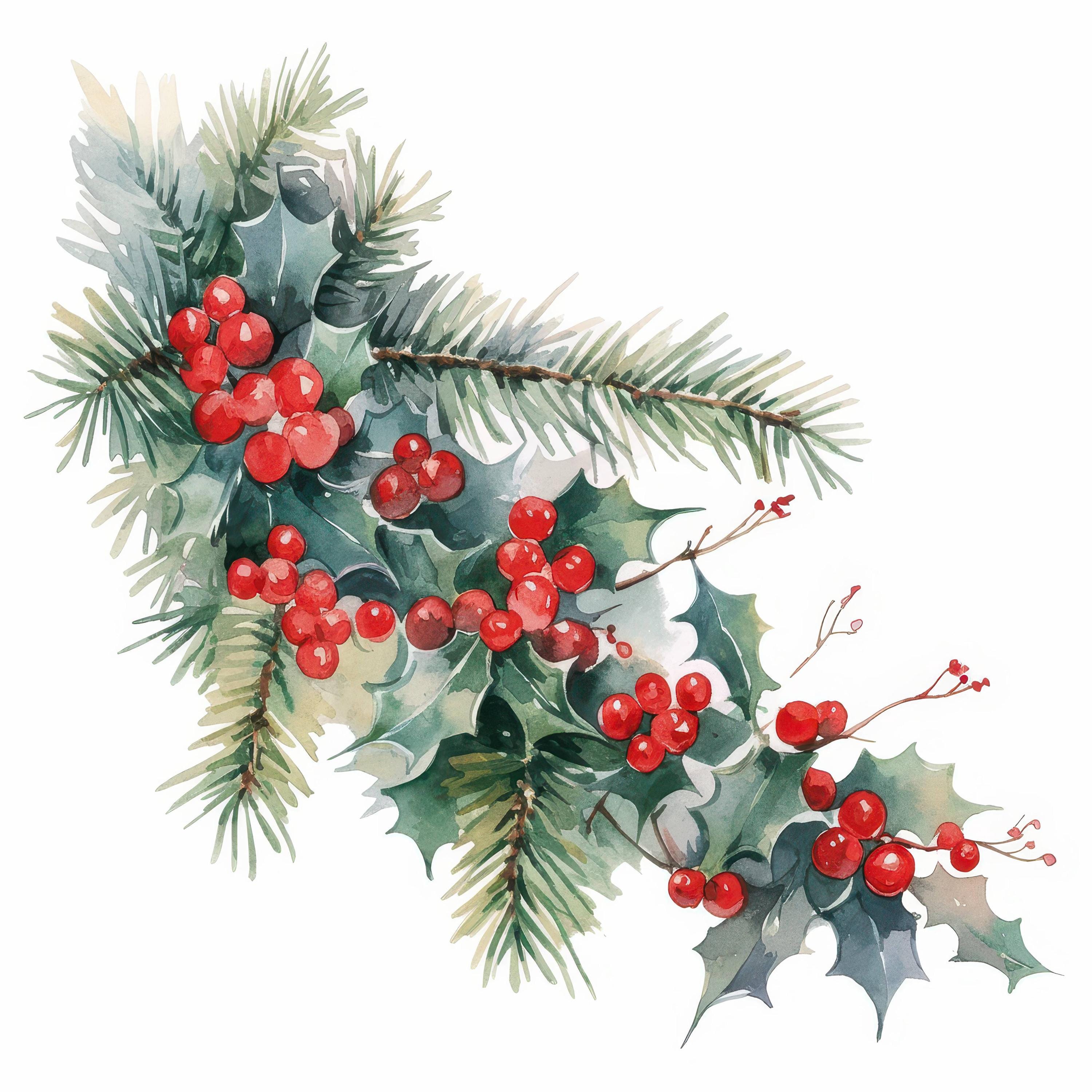 12 Evergreen Christmas Decor Clipart Bundle, Ornaments Illustration ...