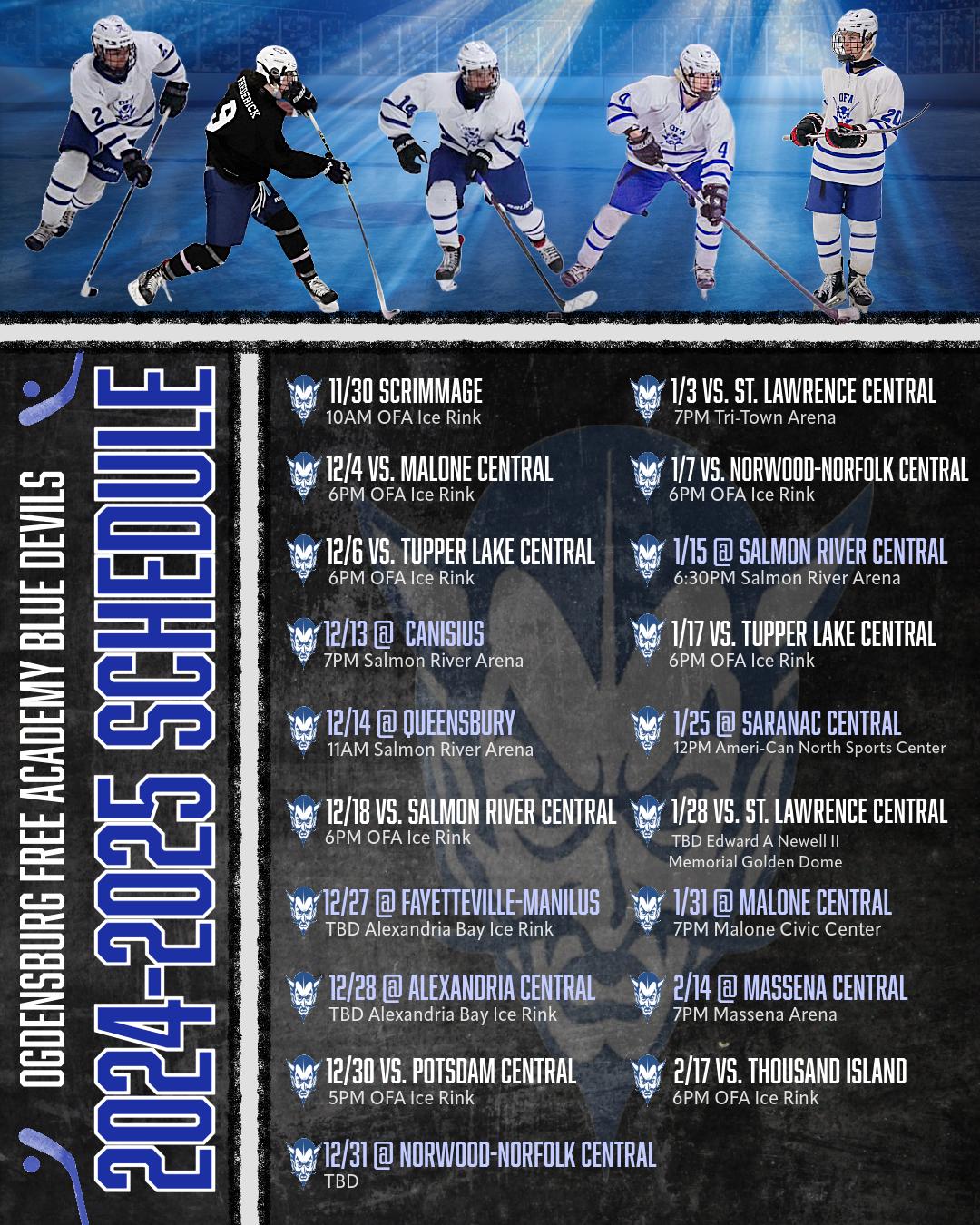 Sports Team Schedule Custom Graphic, for Social Media or Print - Etsy