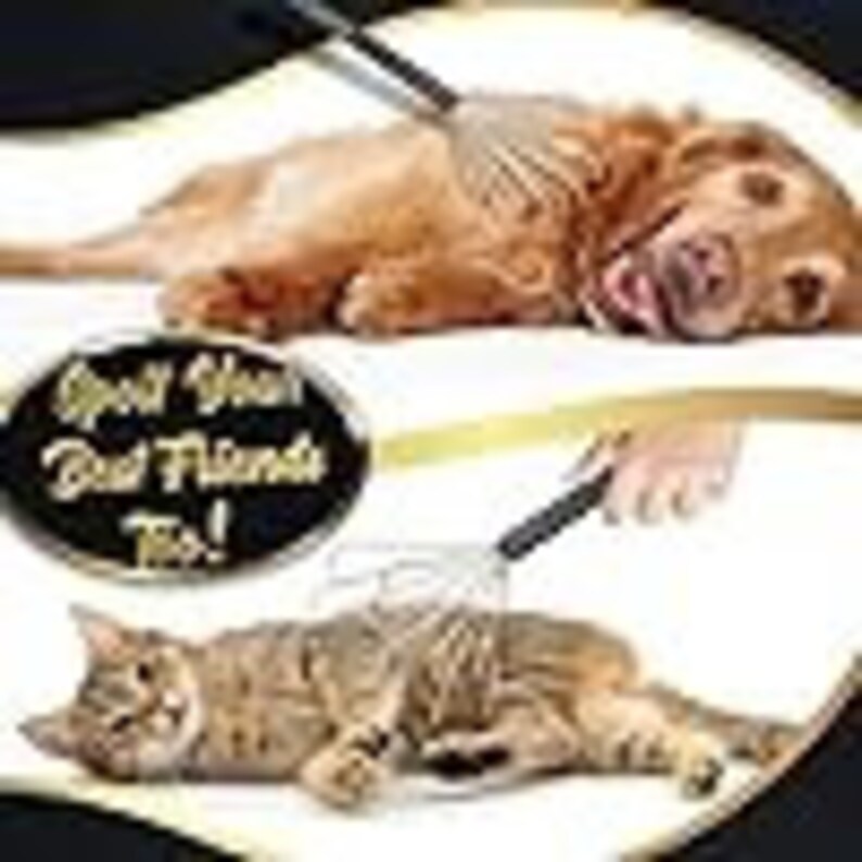 Massage Master Metal Back Scratcher Extendable for Men, Women, Elderly ...