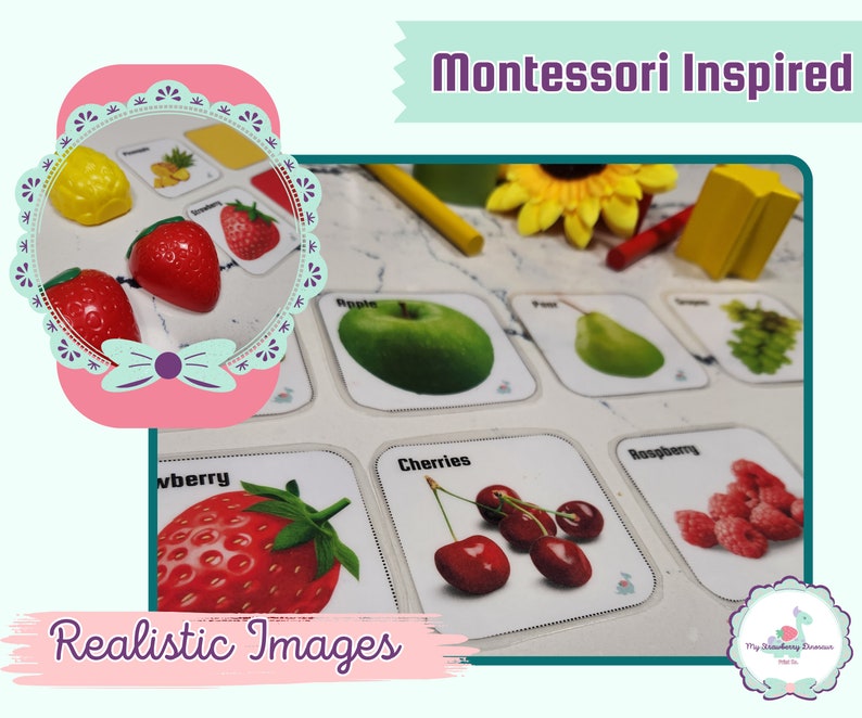 Color Sorting Cards Fruit Montessori Color Matching Cards Toddler ...