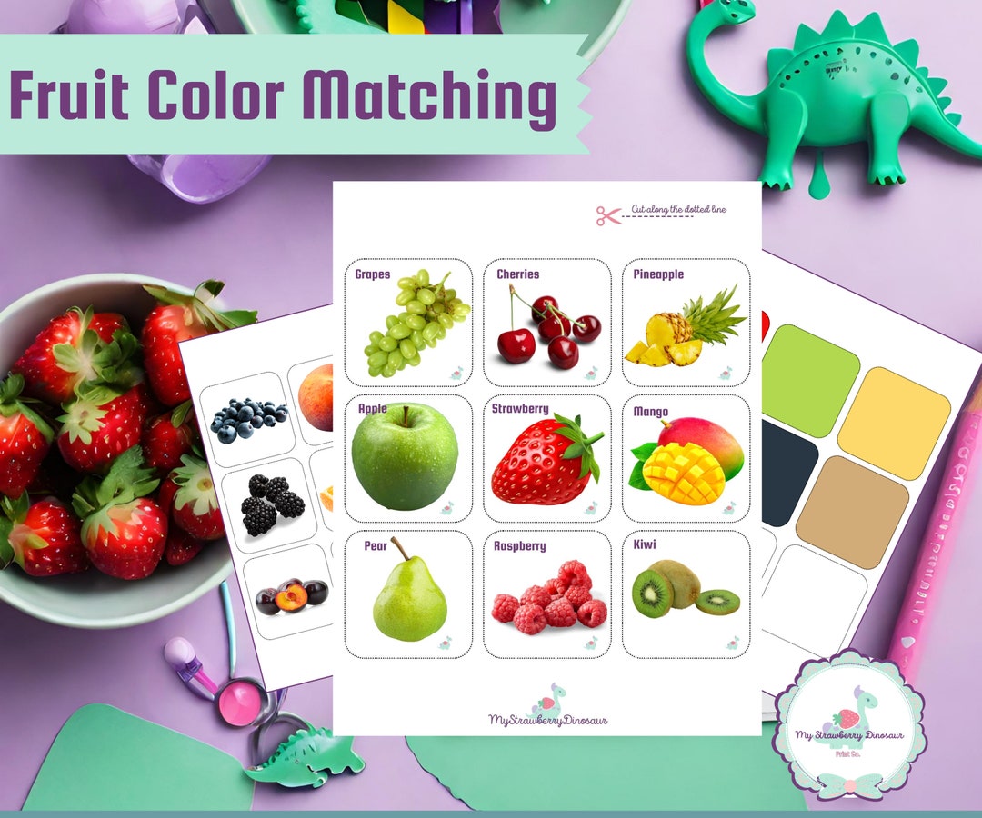 Color Sorting Cards Fruit Montessori Color Matching Cards Toddler ...