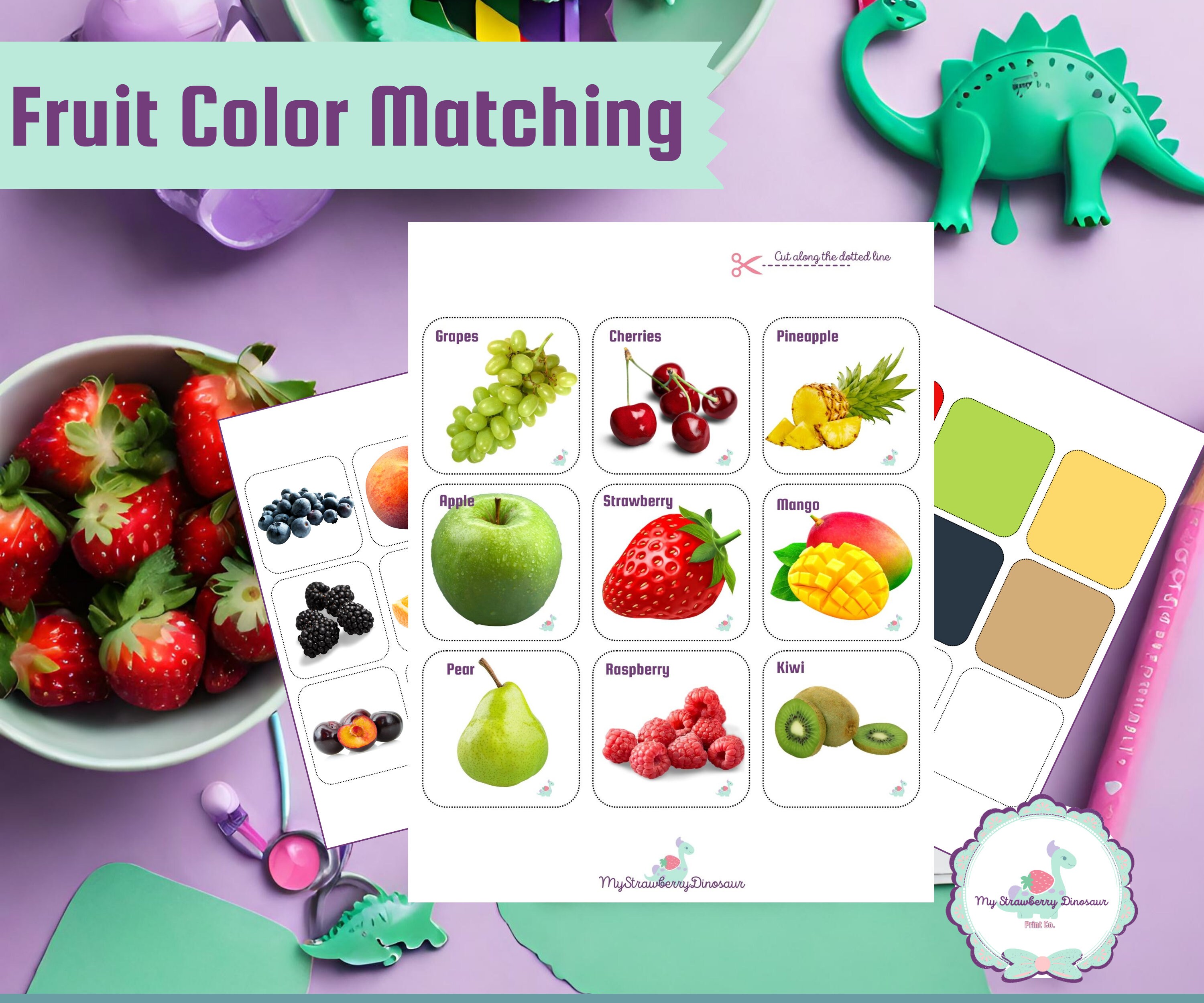 Color Sorting Cards Fruit Montessori Color Matching Cards Toddler ...