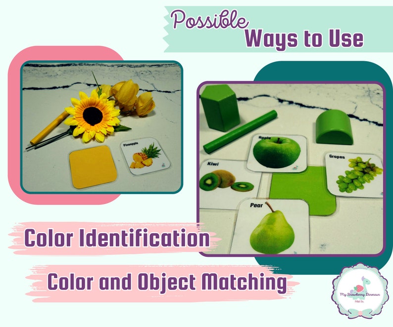 Color Sorting Cards Fruit Montessori Color Matching Cards Toddler ...