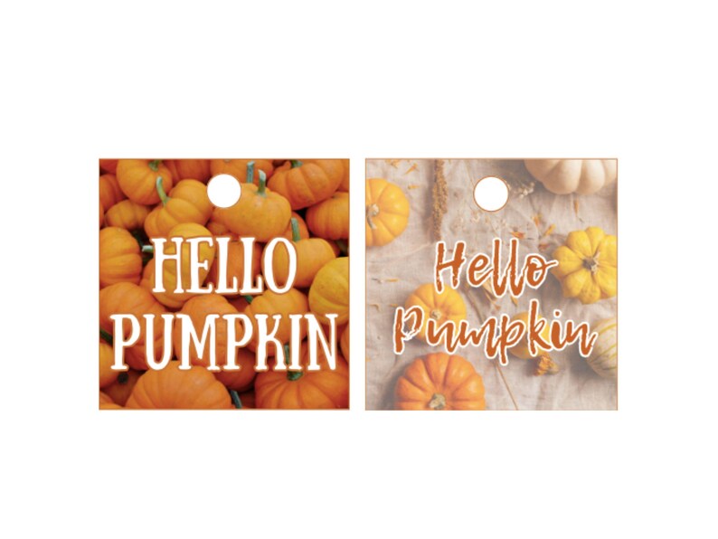 Hello Pumpkin Gift Tags, Printable Gift Tags, Fall Gift Tags - Etsy