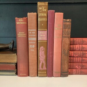 Vintage, Antique, Golden Brown Books W/ Red & Pink Undertones for Decor ...