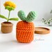 Crotchet Carrot AirPod Case AirPod Pouch Handmade Crotchet AirPod Case ...