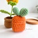 Crotchet Carrot AirPod Case AirPod Pouch Handmade Crotchet AirPod Case ...