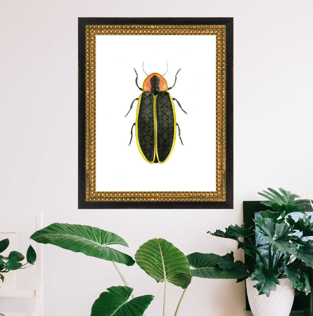 Firefly Art Print Bug Insect Entomology Lightening Boys Girls Room ...