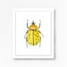Beetle Nursery Art Print Insect Bug Watercolor Nature Illustration ...